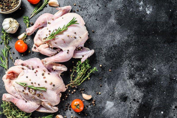 Sourcing the Finest Bulk Wholesale Poultry Supplies: Your Gateway to Q ...